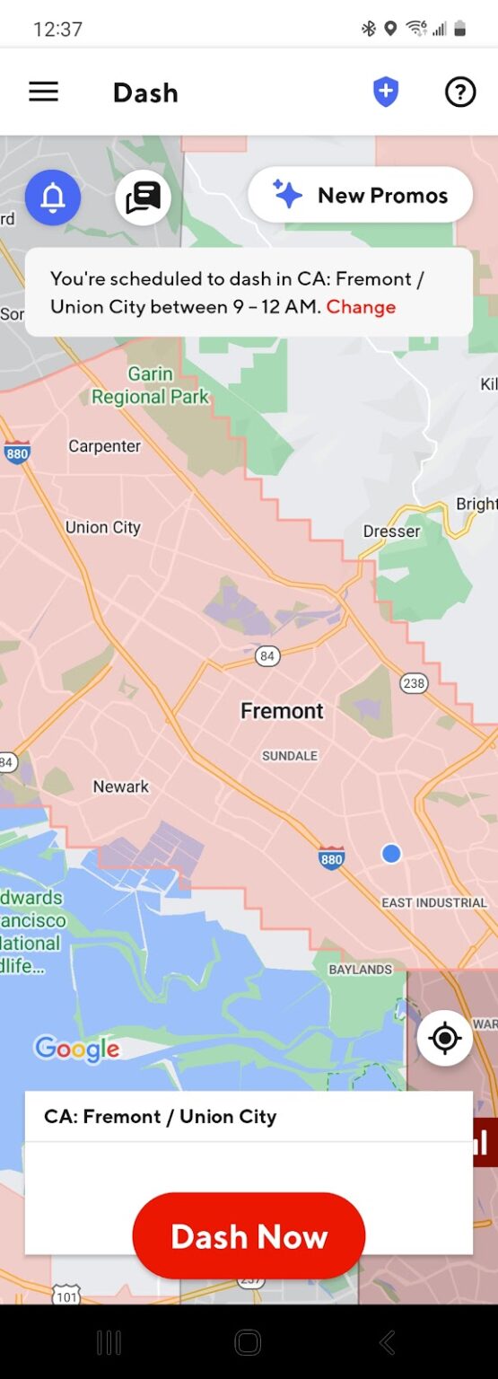 How to Become a DoorDash Driver: Dasher Requirements